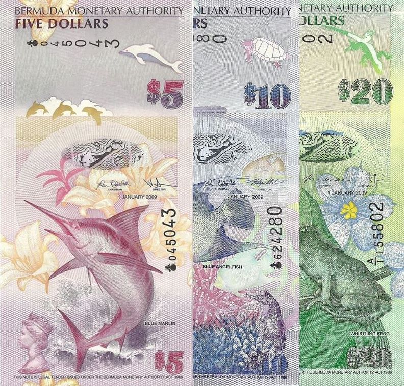 Bermudian Dollar